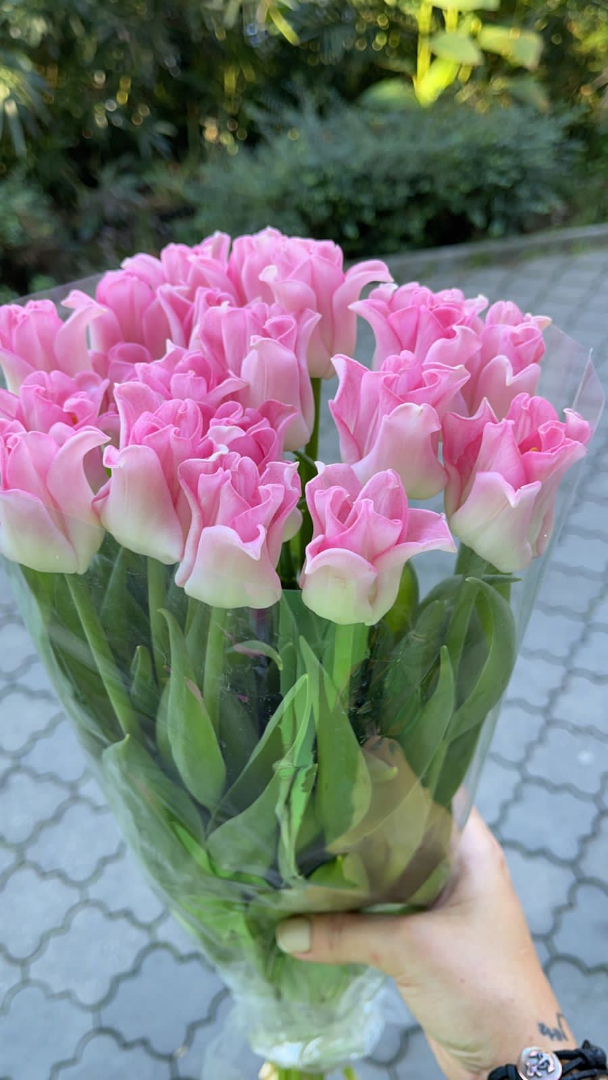 Купить «Розовые тюльпаны» с доставкой в Сочи - «Floral24»